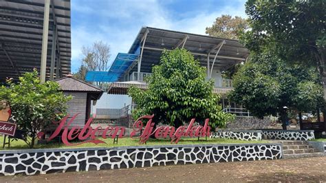 Belum Ada Asrama Dan Sekolah Daarul Mansur Sudah Terima Santri Thayyibah