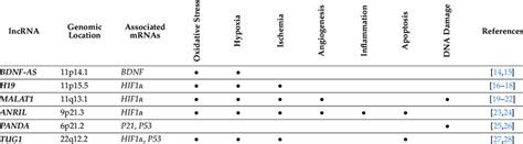 Summary Of Selected Lncrnas Associated With Hypoxia And Oxidative