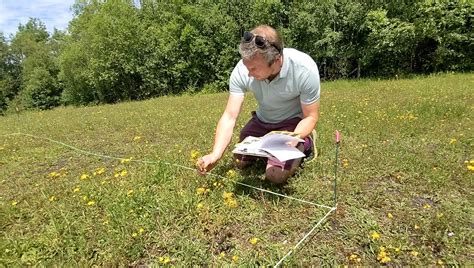 Annual Review NPMS Plantlife