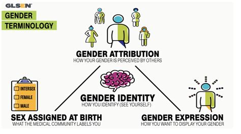 Ninja Cock Studios Sexual Education Photos Porn Ddeva