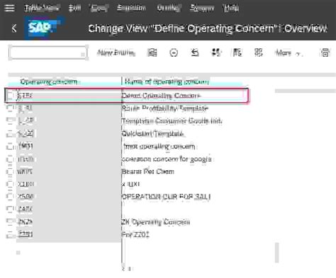 How To Define Operating Concern In Sap