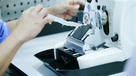 Successful Microtome Sectioning Of Tissue With The Right Blade — Alleima