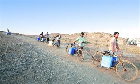 In Scarcity Hit Amreli Villageit S A Fight Between Blue Bulls And