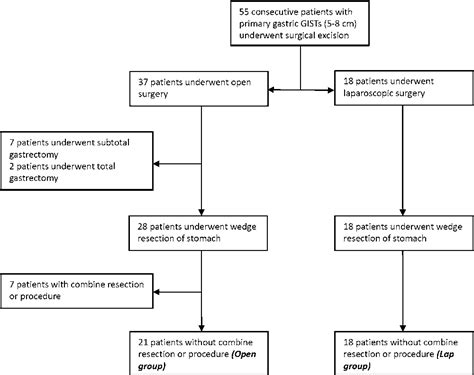Laparoscopic Resection For Large Gastric Gastrointestinal Stromal Tumor Gist Intermediate