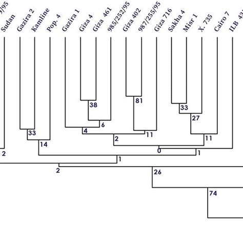Dendrogram Produced By Cluster Analysis Based On Euclidean Distance
