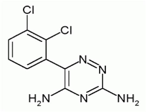 Lamotrigine Neupsy Key