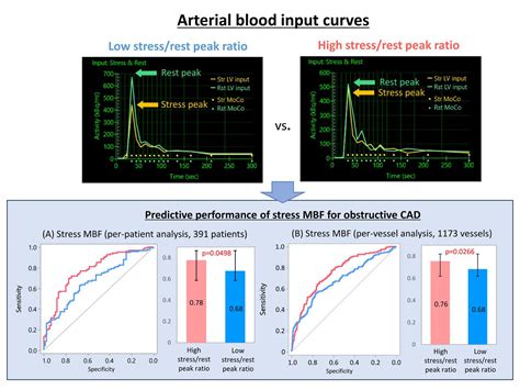 effect of stress rest peak ratio of the arterial input curves on