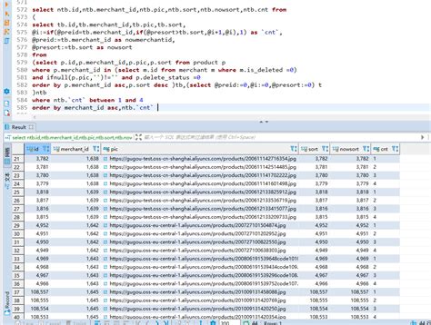 执行的sql查询语句中带用户变量可以实现么？ Sqlsugar Net果糖网