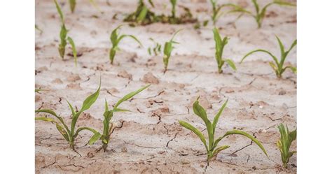 Следващата криза в Европа ще е с питейната вода Български Фермер