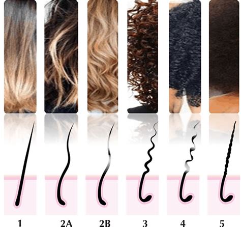 Understanding Hair Type The Great Debate Curly Vs Straight