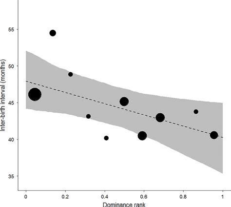 Relationship Between Dominance Rank And Inter Birth Interval Duration Download Scientific