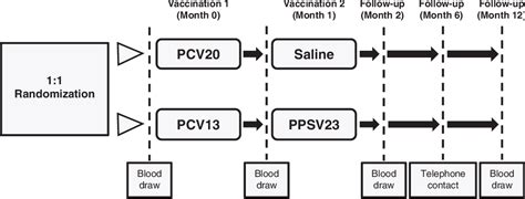 Figure 1 From Safety Tolerability And Immunogenicity Of A 20 Valent