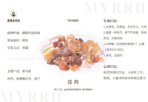 没药：古老文明的神奇植物