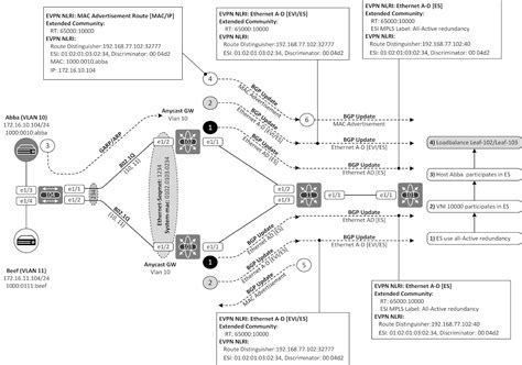 The Network Times Evpn Esi Multihoming Part Ii Fast Convergence And Load Balancing