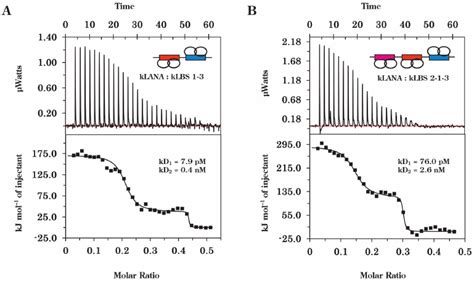 Lbs3 Induces Biphasic Binding By Klana Itc Analysis Of The Binding Of