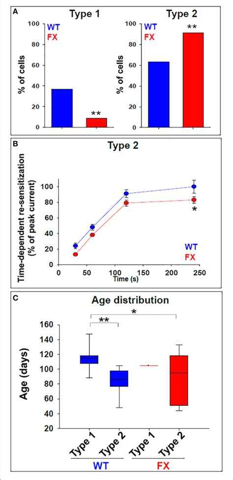 Gaba Responses In Wt And Fx Neurons A Total Incidence Of Type 1 Download Scientific