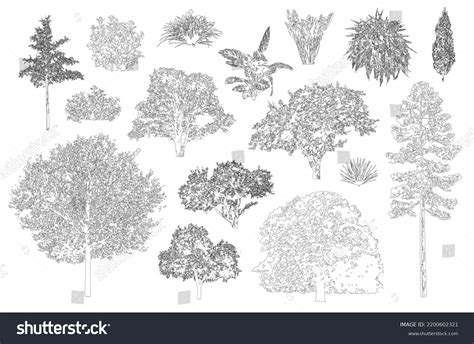 Minimal Style Cad Tree Line Side Stock Vector Royalty Free 2200602321 Shutterstock