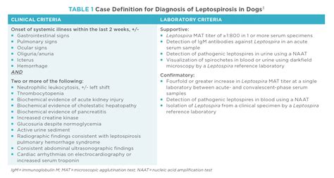 An Update On The Diagnosis And Management Of Leptospirosis Todays