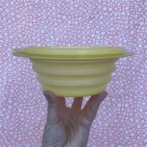 Tupperware Tupperware Collapsible Tupperware Container Etsy