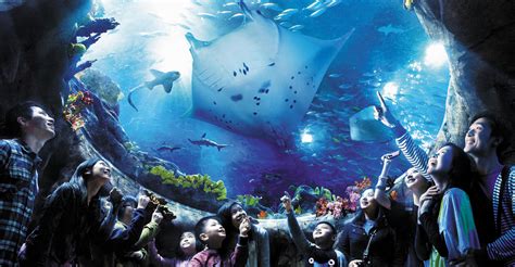 Hong Kong Best Theme Park And Attractions Ocean Park Hong Kong