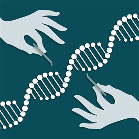 The Killifish Aging Model And Advances In Epigenetics