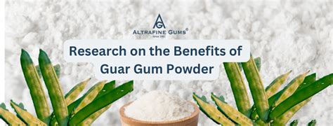Guar Gum Powder Research On The Benefits Of Guar Gum Powder
