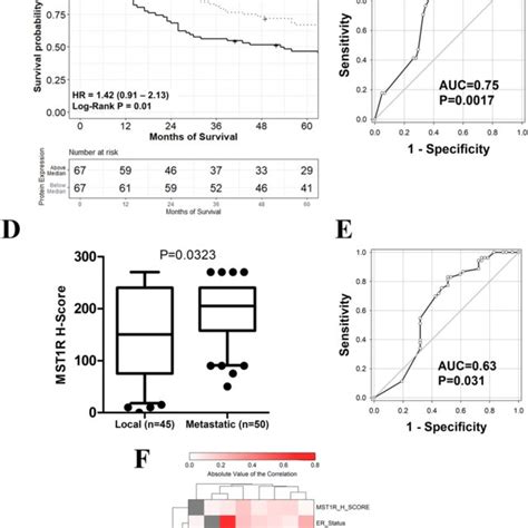 Mst1r Rna Expression Is Not Associated With Pam50 Based Molecular Download Scientific Diagram