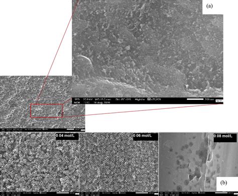Top View Of Tio2 Nanotubes A Without Fluoride B In Different