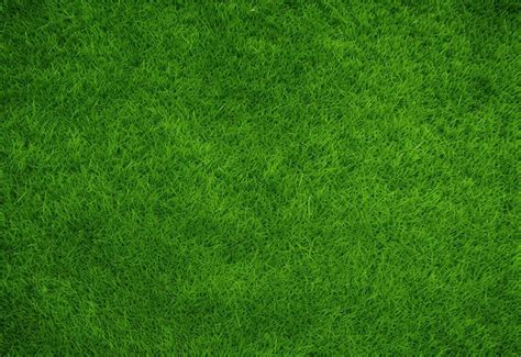 Premium Photo Green Grass Texture Background