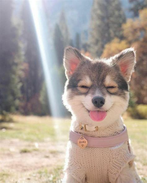 ექიმმა უარი თქვა ახალგაზრდა შავკანიანი გოგონას მკურნალობაზე დარწმუნებული რომ ის ვერ გადაიხდის