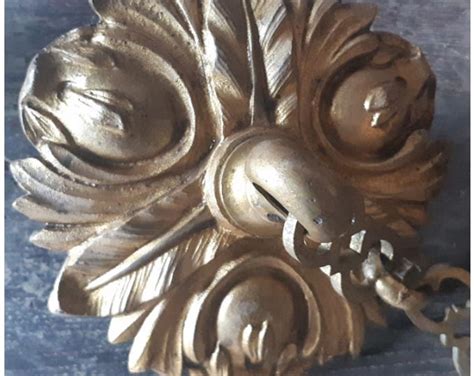 Antique French Solid Brass Ceiling Canopy With Chain Sophieladydeparis