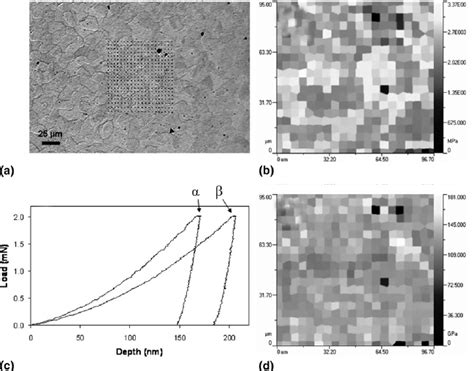 Grid Indentation Array On Polished A B Brass Naval Brass Cda 464