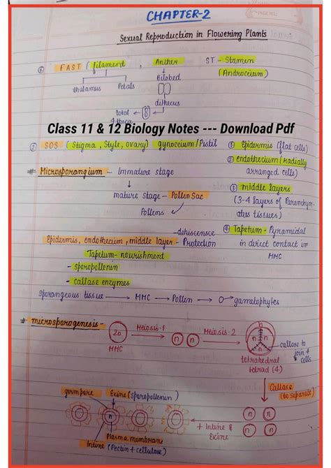 SOLUTION Mindmapsexual Reproduction In Flowering Plants Studypool