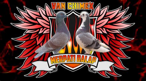 Logo Burung Merpati Balap 58 Koleksi Gambar
