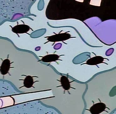 Discuss Everything About Encyclopedia Spongebobia Fandom