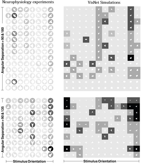 Frontiers Computational Modelling Of The Neural Representation Of Object Shape In The Primate