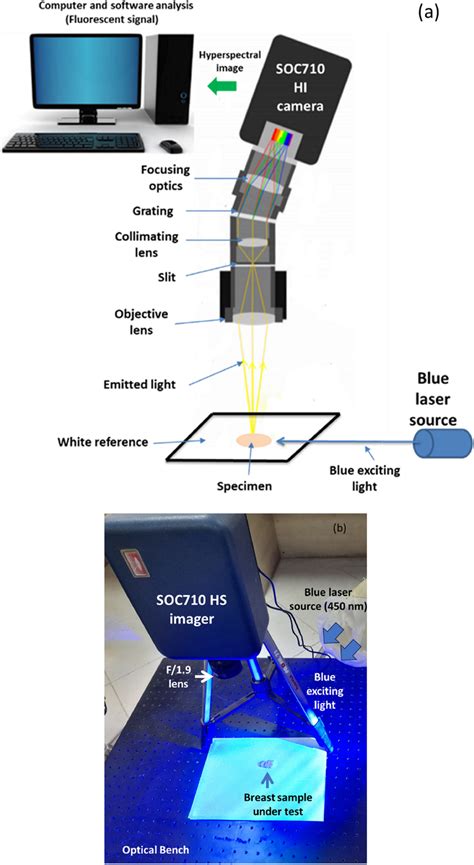 A Hs Optical Imaging System Schematic Illustration Based On Lif B The