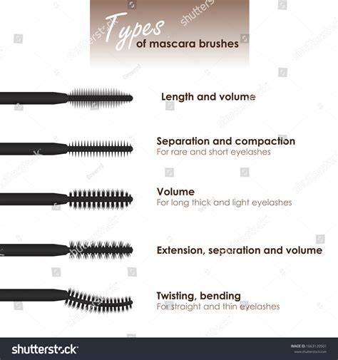 Mascara Brush Types