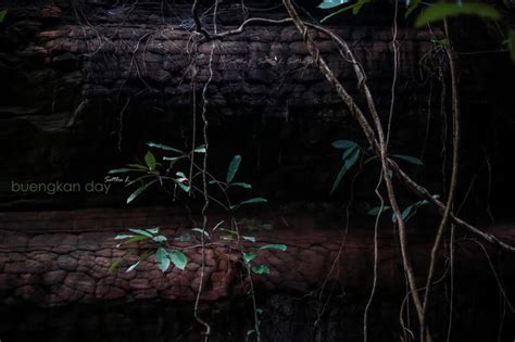 Photo Gallery ถ้ำนาคี สวยไม่แพ้ถ้ำนาคา เดินสบายเที่ยวง่าย