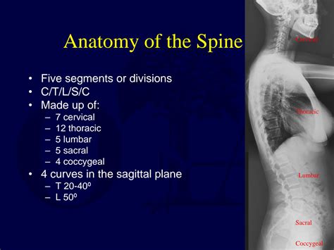 Solution Up S01 Thoracic And Lumbar Spine Fractures And Dislocations Assessment And