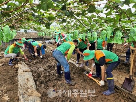 세종시자율방재단 부여군 수해복구 구슬땀