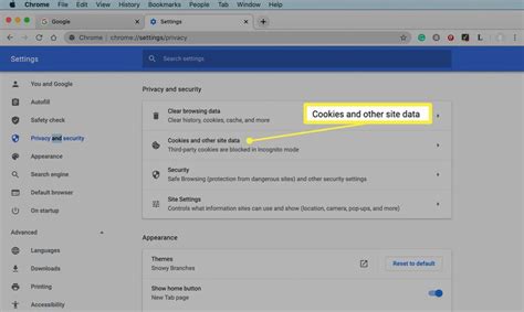 How To Enable And Allow Cookies On Mac