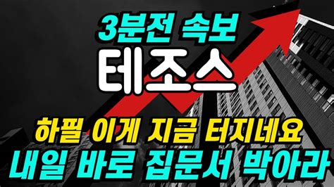 테조스 ★저녁긴급★테조스테조스코인전망테조스코인 Youtube