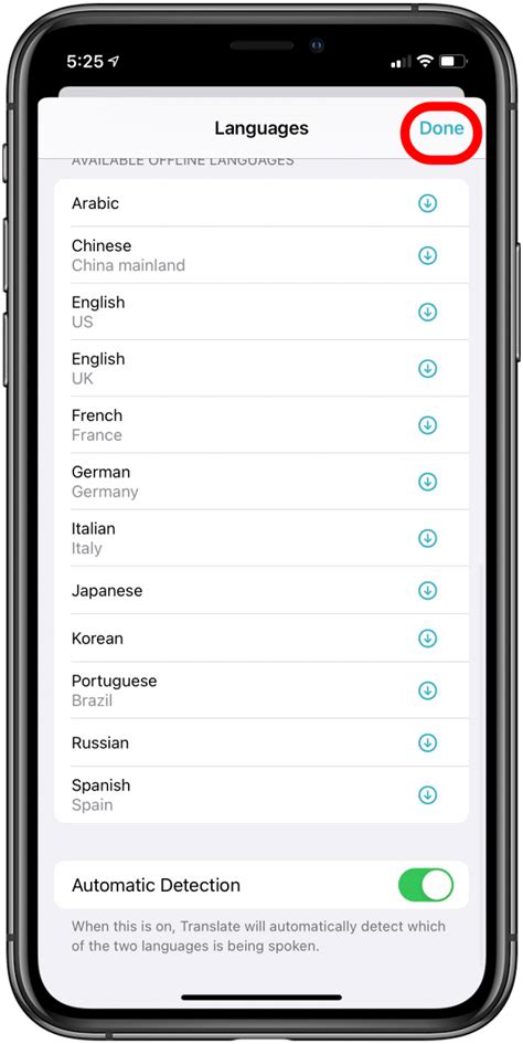 How To Use The Apple Translate App