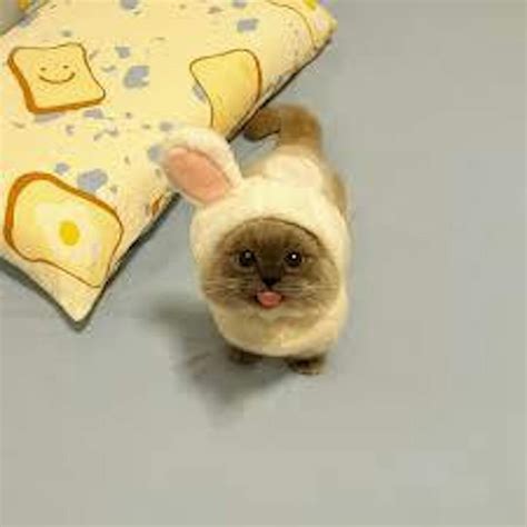 Medkit Gaming Mystery Box Medkit Mystery Boxes