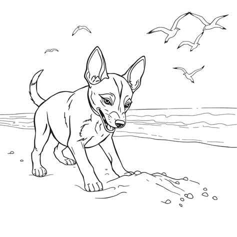 Best Basenji Coloring Pages Free Printable Pdf