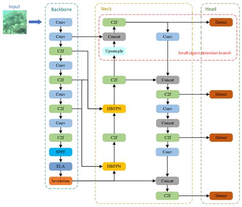 Rhs Yolov8 A Lightweight Underwater Small Object Detection Algorithm Based On Improved Yolov8