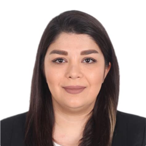 Shabnam Ghorbani Digital Analyst Bijan Firma Xing