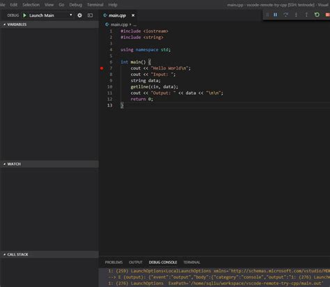 Vscode Remote C Debug Not Working · Issue 74655 · Microsoftvscode