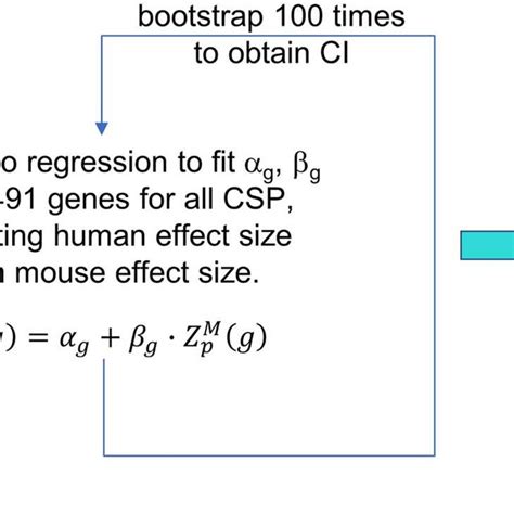 Overview Of The Fit Algorithm 19 Fit Consists Of A Compendium Of 170